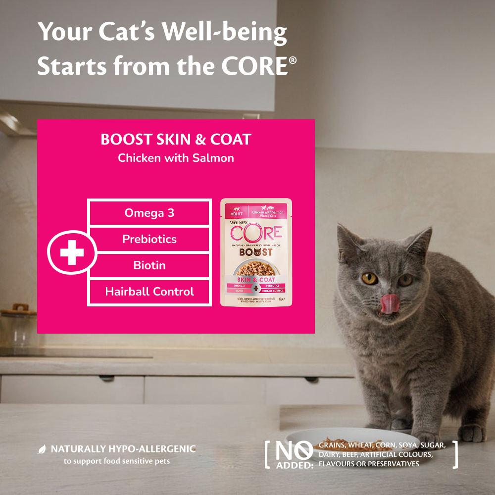 Wellness Core Boost Skin & Coat Chicken with salmon - Wellness Core